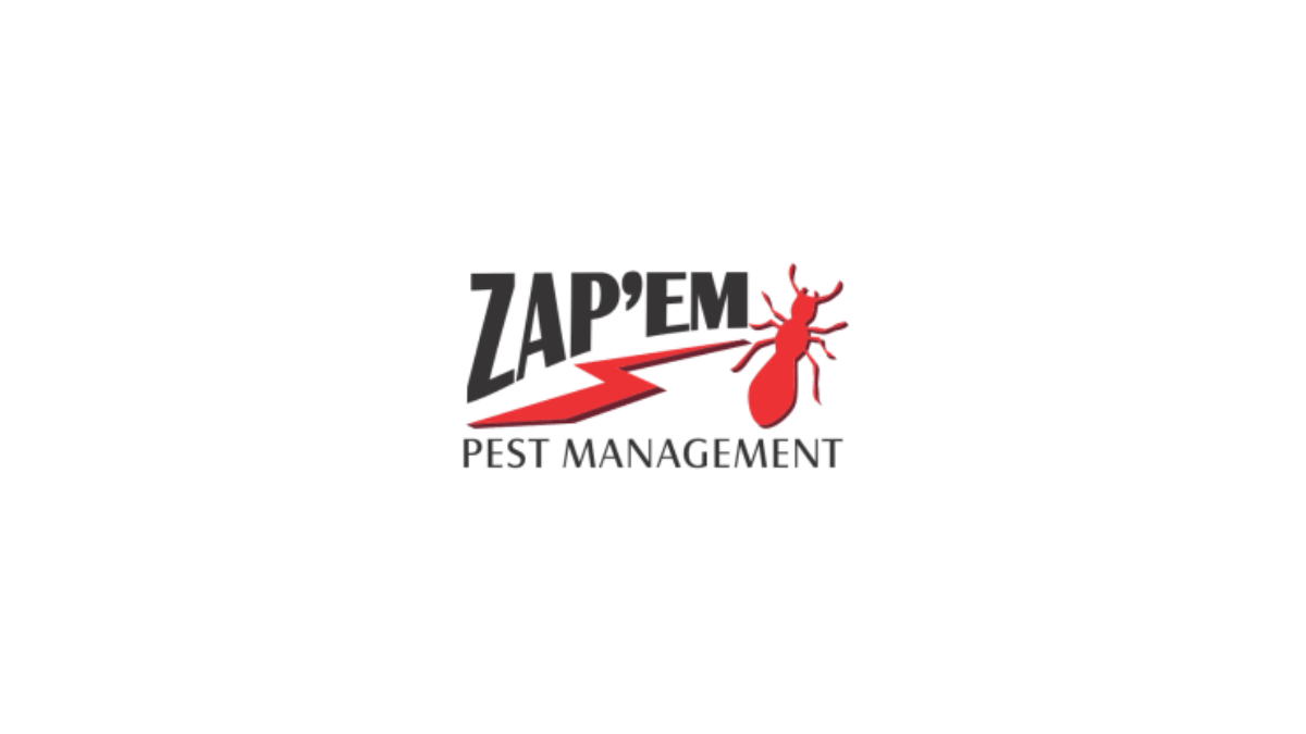 Pest Control Mermaid Waters | Termite & Pest Services – Zapem